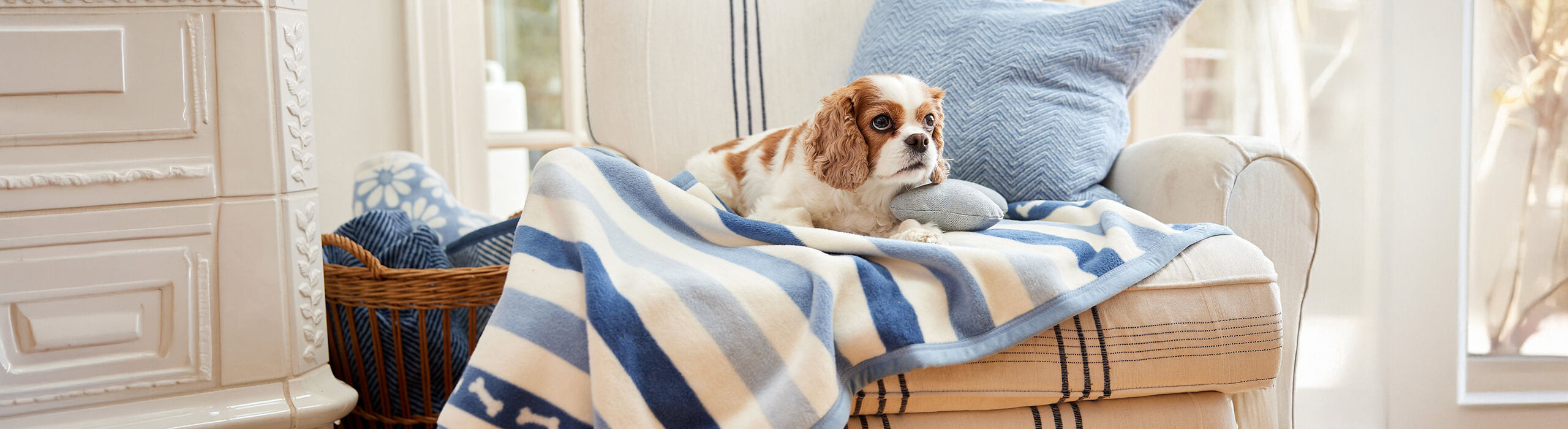 Pet Collection – ChappyWrap