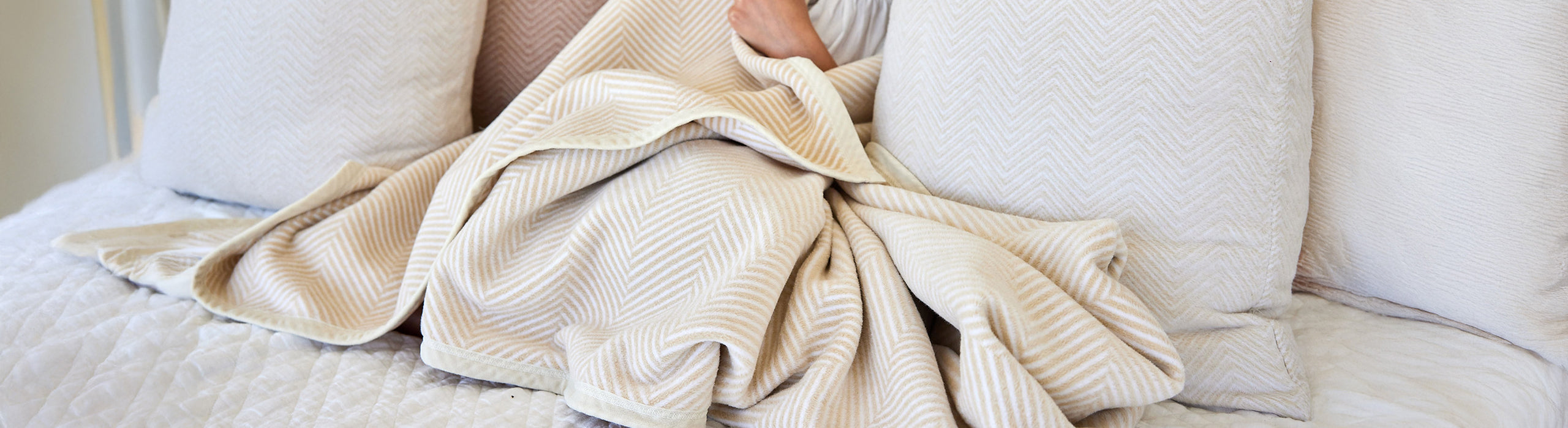 The Chappy Collection – ChappyWrap