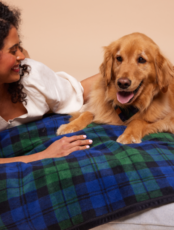 All blankets – ChappyWrap