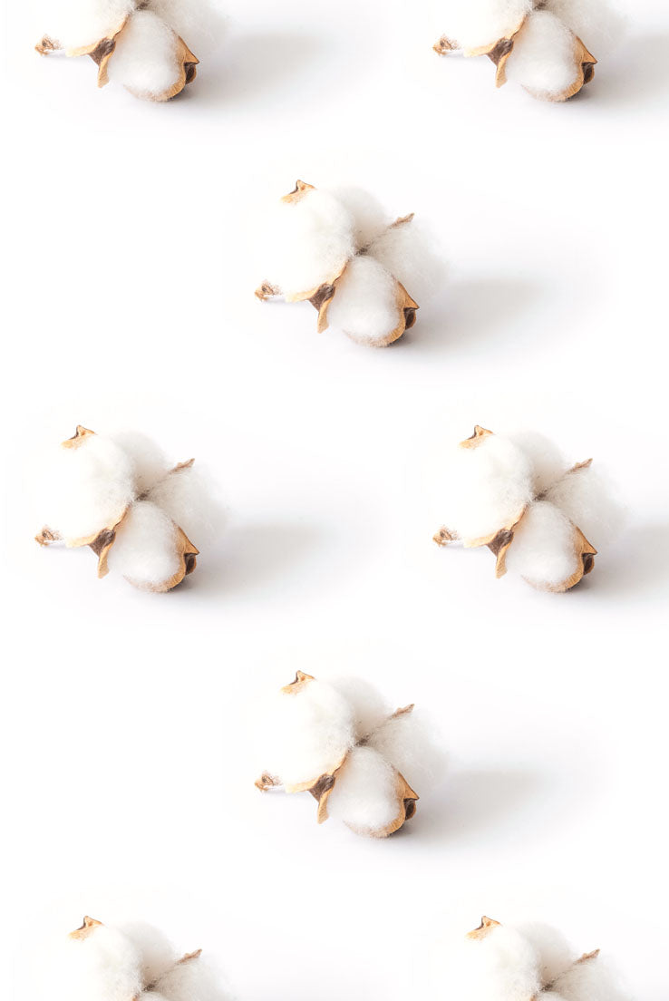 How We Make a Chappy – ChappyWrap